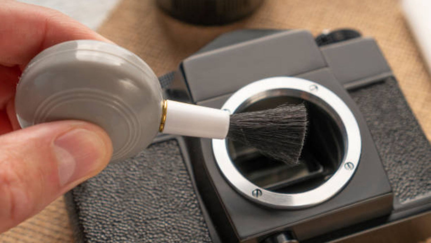 Choosing the Right Makeup Brush Cleaner Machine: Factors to Consider ...